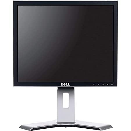 DELL 17" - 19" Black/Silver TFT Monitor PC Screen PC Display for ...