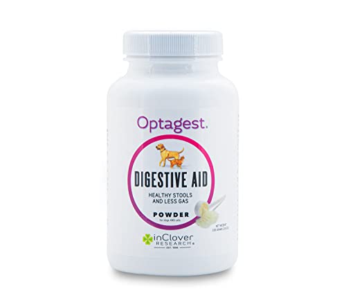 Top 10 Best Digestive Aid For Dogs : Reviews & Buying Guide - Katynel