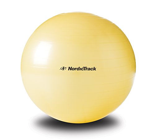 NordicTrack Stability Ball, 55cm – Littleton Physical Therapy