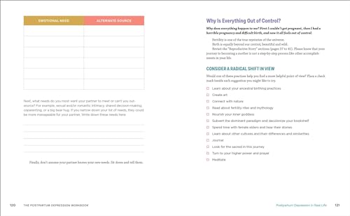 Snapklik.com : The Postpartum Depression Workbook: Strategies To ...