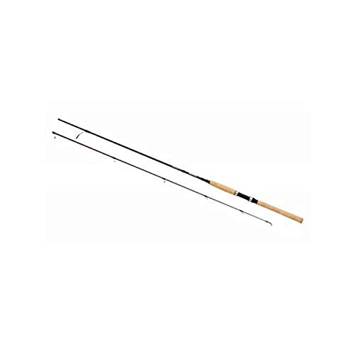 5 Best Salmon & Steelhead Fishing Rods for 2023