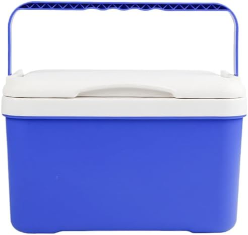 Amazon.com: XJKLBYQ Ice Chest, Cooler 6-Liter Capacity Small Cooler ...