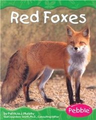 Red Foxes: Murphy, Patricia J: 9780736820745: Amazon.com: Books