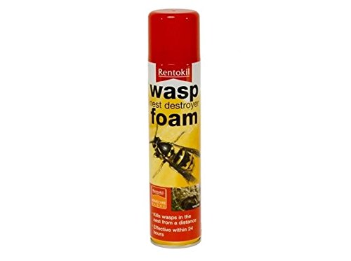 Rentokil Wasp Nest Destroy Foam Aerosol 300ml : Amazon.co.uk: Garden