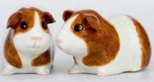 Quail Ceramics - Guinea Pig Salt and Pepper - Dutch : Amazon.co.uk ...
