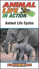 ANIMAL LIFE CYCLES : Animal Life in Action (Grades 5-8): Amazon.com: Books