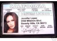 Jennifer Lopez - Collector Card, Trading Cards - Amazon Canada