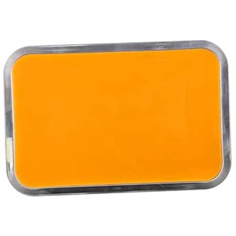 Anneome 1 Set Anatomy Tray Dissection Tray Wax Melt Tray Dissecting ...