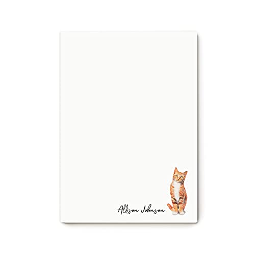 10 Must-Have Products for Your Adorable Orange Tabby Cat Breed: Your ...