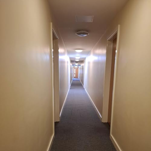 Running Back to Pain by George Amolo on Amazon Prime Music