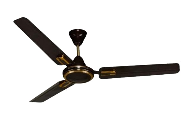 Buy GTS Scorpio Cealing fan (Matt Black) Online at Low Prices in India ...