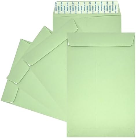 Amazon.com : 100 Minas Envelope 6" x 9" Catalog Envelopes, Peel & Seal ...