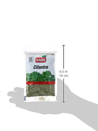 The 9 Best Fresh Cilantro of 2025 [Verified] - Cherry Picks