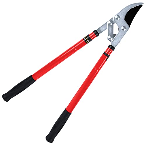 Top 10 Long Handled Tree Loppers of 2022 - Katynel