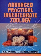 Amazon.com: Advanced Practical Invertebrate Zoology: 9788180300349 ...
