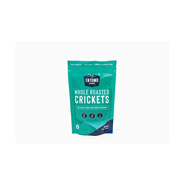 Whole Roasted Crickets - Canadian Raised - 113 grams - Insect Gourmet ...