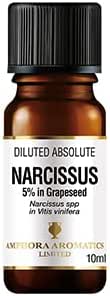Amphora Narcissus 10ml diluted Absolute Essential Oil : Amazon.co.uk ...