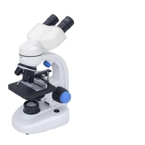 Microscopio Usb Lidl ️ 2025
