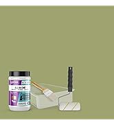 Amazon.com: Beyond Paint All-in-One Refinishing Paint, No Sanding ...