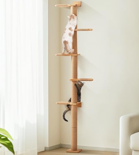 Cat Pole – The 15 best products compared - Wild Explained