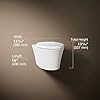 Kohler K-31539-0 Veil Wall-Hung Dula Flush Toilet, White - Amazon.com