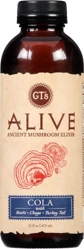 Amazon.com : GT's Living Foods ALIVE Cola Adaptogenic Tea, 16oz ...