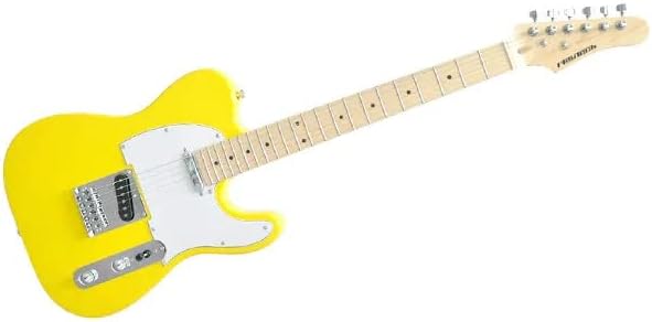 Amazon | PLAYTECH (プレイテック) エレキギター | エレキギター | 楽器・音響機器