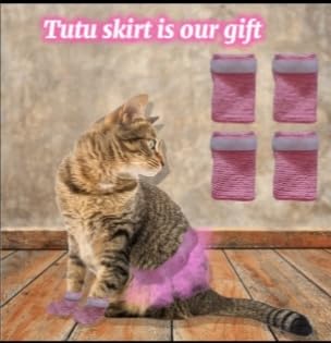 Cat Mittens – The 15 best products compared - Wild Explained