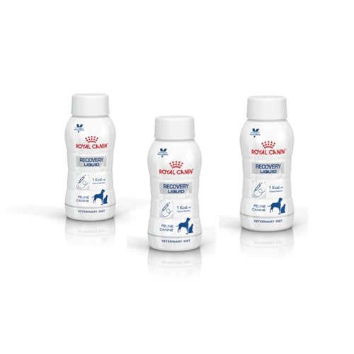 Royal Canin Recovery Liquid Kiwoko: la marca de referencia en ...