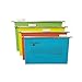 Eastlight Premium Suspension Files [ Pack 25 ], Foolscap, Filing ...