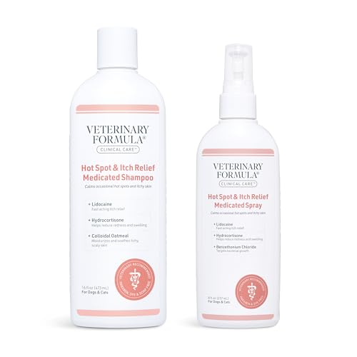 Hot Spots On Cats – The 15 best products compared - Wild Explained