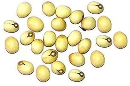 Natural and Rare Gunja/Swetha Gunja/white Gunja/Gurivanta/Rosary Pea ...