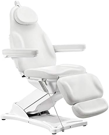 Amazon.com: Spa Source | LUKO Swivel Deluxe Electric 4 Motor Treatment ...