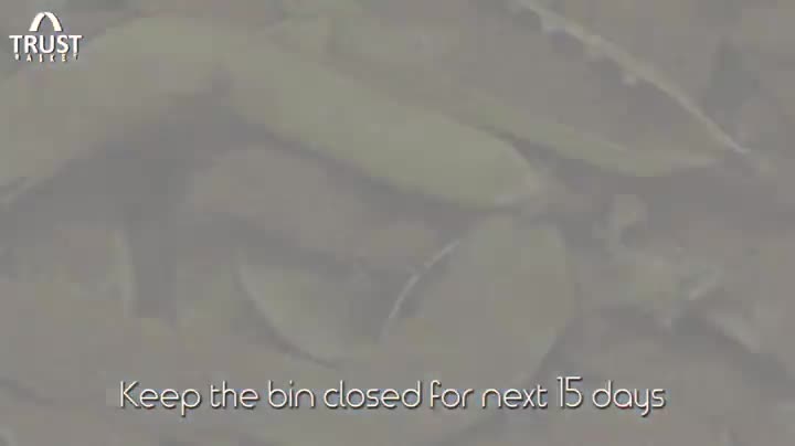 Watch Trust Bin for a Family of 3 Members ﹙Set of Three 14 ltrs Bins ...