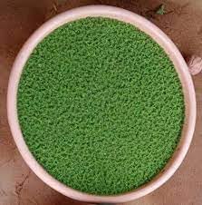 Ajola seeds | seeds for Ajola (100 seeds) : Amazon.in: Garden & Outdoors