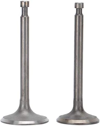 Amazon.com: Intake Exhaust Engine Valve Kit,Generator Intake Exhaust ...