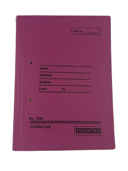 File Spring File Folder for documents (Set 2) : Amazon.in: Office Products
