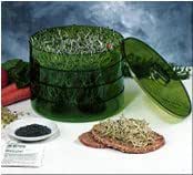 Amazon.com : Biosta Three-Tier Sprouter : Other Products : Patio, Lawn ...