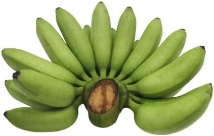 Swathi Fresh Matoki Farm Fresh Raw Green Banana (Plantain) Authentic ...