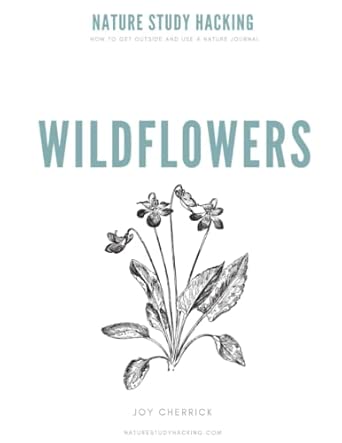 Nature Study Hacking| Wildflowers: How to Get Outside and Use a Nature ...