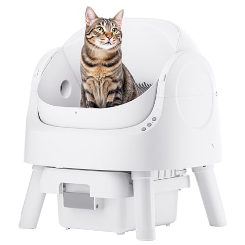 Top 10 Best Automatic Kitty Litter System : Reviews & Buying Guide ...
