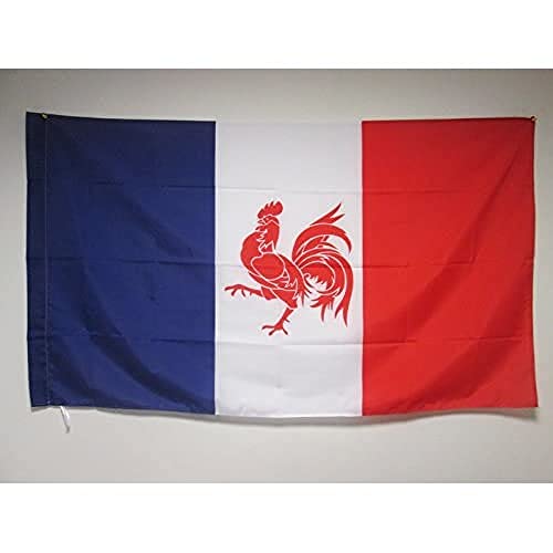 Walloon French Movement Flag 2′ x 3′ for a pole – Rattachism movement ...