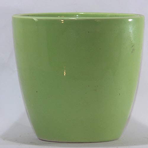 Green Gini Apple Pot 5" (Blue) (GGCPGPGR04020) : Amazon.in: Garden ...