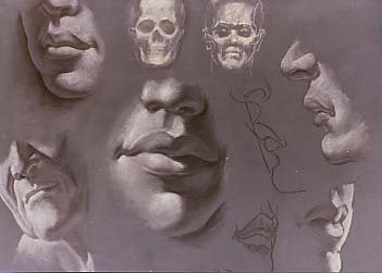 Amazon.com: Anatomy Theory - Mouth & Ears By Hal Reed, Detailed Art ...