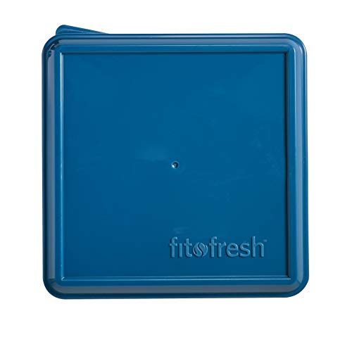 The 17 Best Fit & Fresh Lunch Boxes of 2024 [Verified] - Cherry Picks