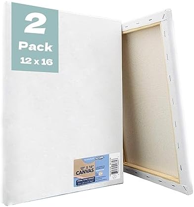 Amazon.com: SL crafts Mini Stretched Canvas 3.5x2.75 Inch Small Blank ...