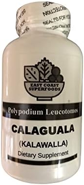 Amazon.com: Calaguala 500 mg 100 Cápsulas (Kalawalla) Polypodium ...