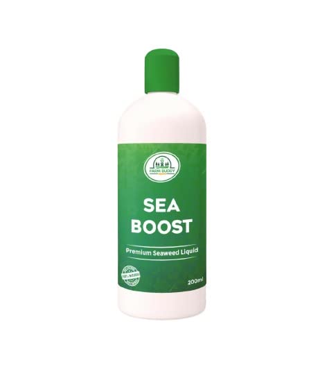 FARM BUDDY Sea Boost Seaweed Extract Liquid Concentrate | Promotes ...
