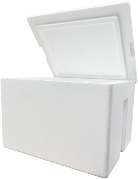 Amazon.com : Styrofoam Ice Chest, Insulated Cooler, 27 qt : Sports ...