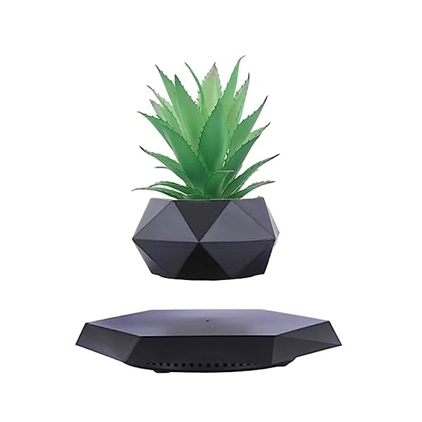 Levitating Plant、Floating Plant、Floating Plant Pot for Succulents, air ...